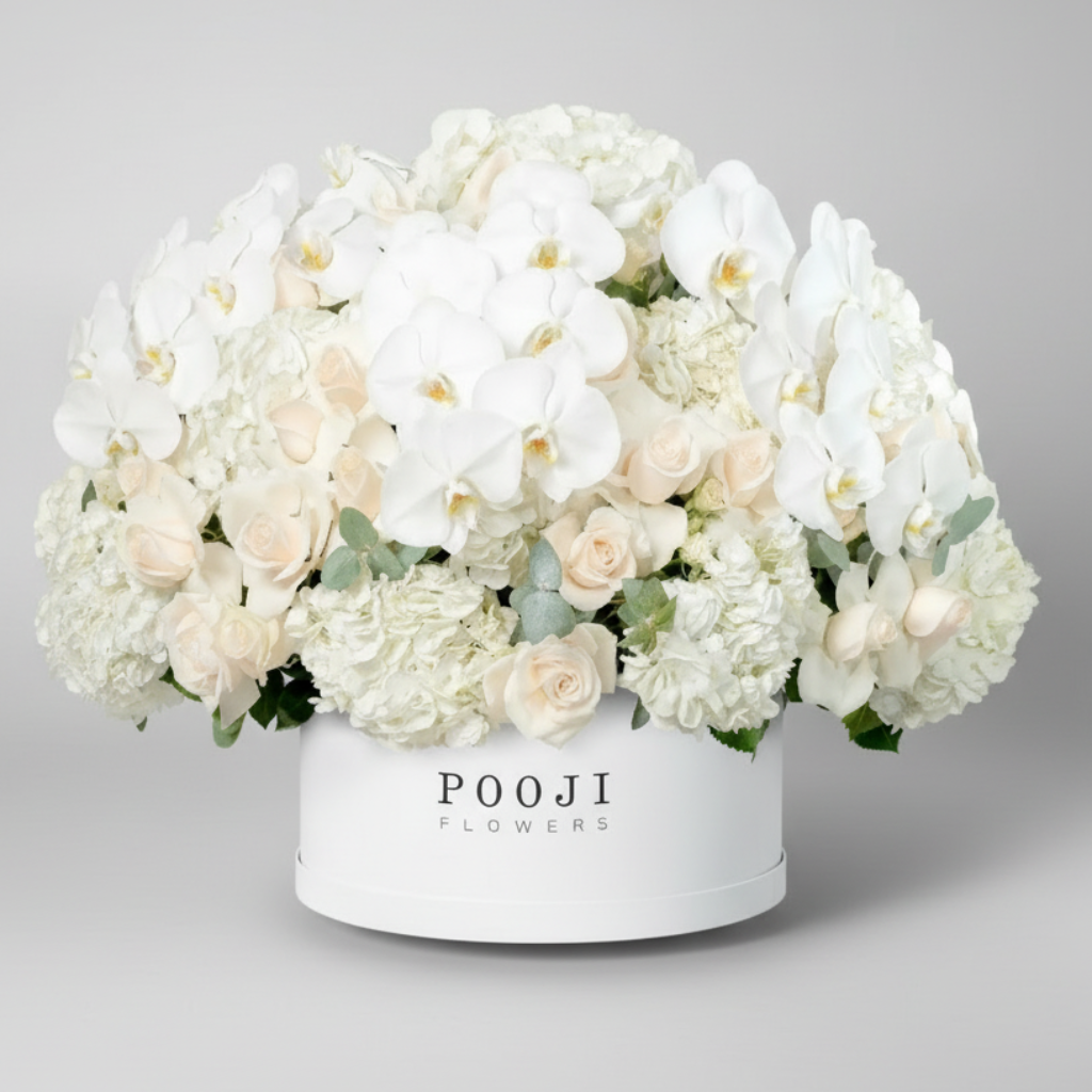 White Orchid & Rose Luxury Box | Premium Flower Arrangements Kuwait ...