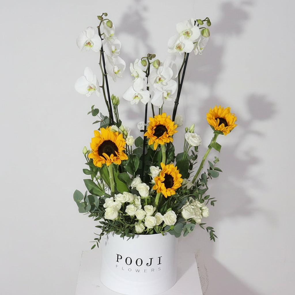 White Orchid & Sunflower In Luxury Box | Premium Arrangement Kuwait ...